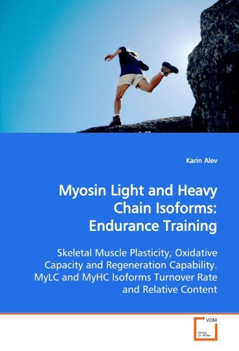 MYOSIN LIGHT AND HEAVY CHAIN ISOFORMS: ENDURANCE TRAINING: By Karin ...