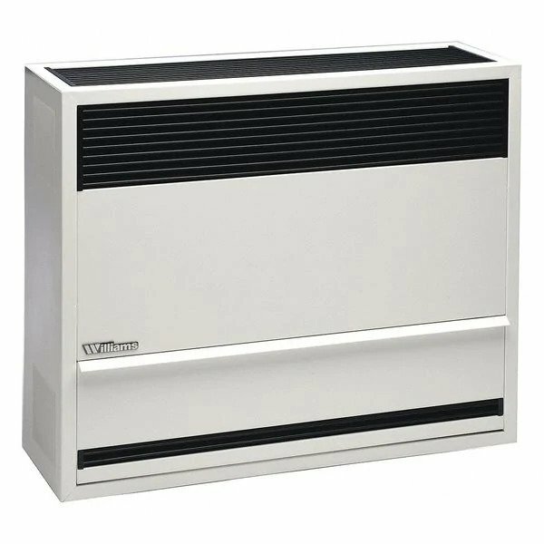 Williams Direct-vent 30k BTU Natural Gas Propane Wall Furnace Heater ...