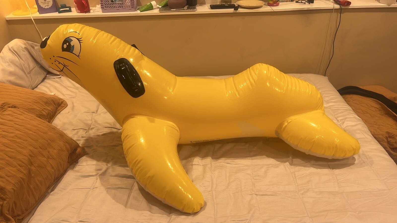 Intex The Wet Set Sea Lion/ Lil Seal Pool Float Inflatable Toy | eBay