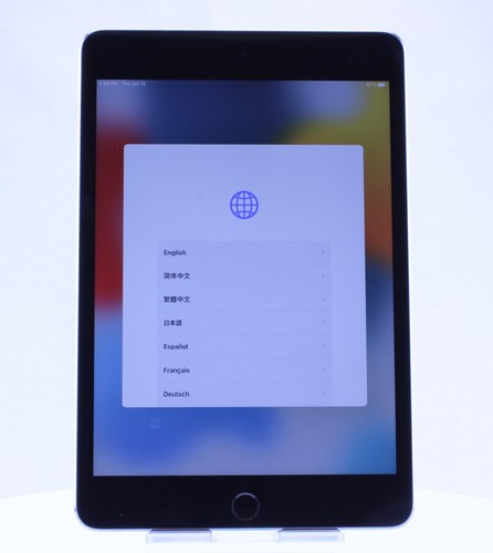 Apple iPad Mini 4 A1538 WiFi 128GB Gray Fair Shape | eBay