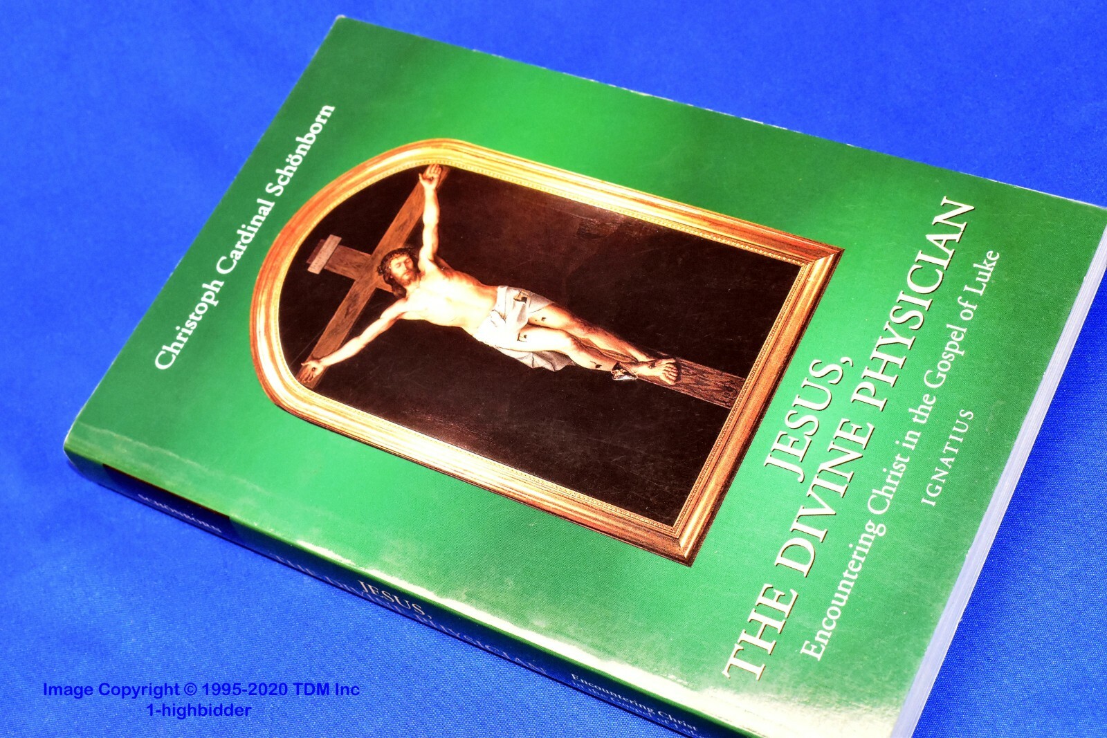 Jesus the Divine Physician Christ from the Gospel of Luke by Cardinal ...