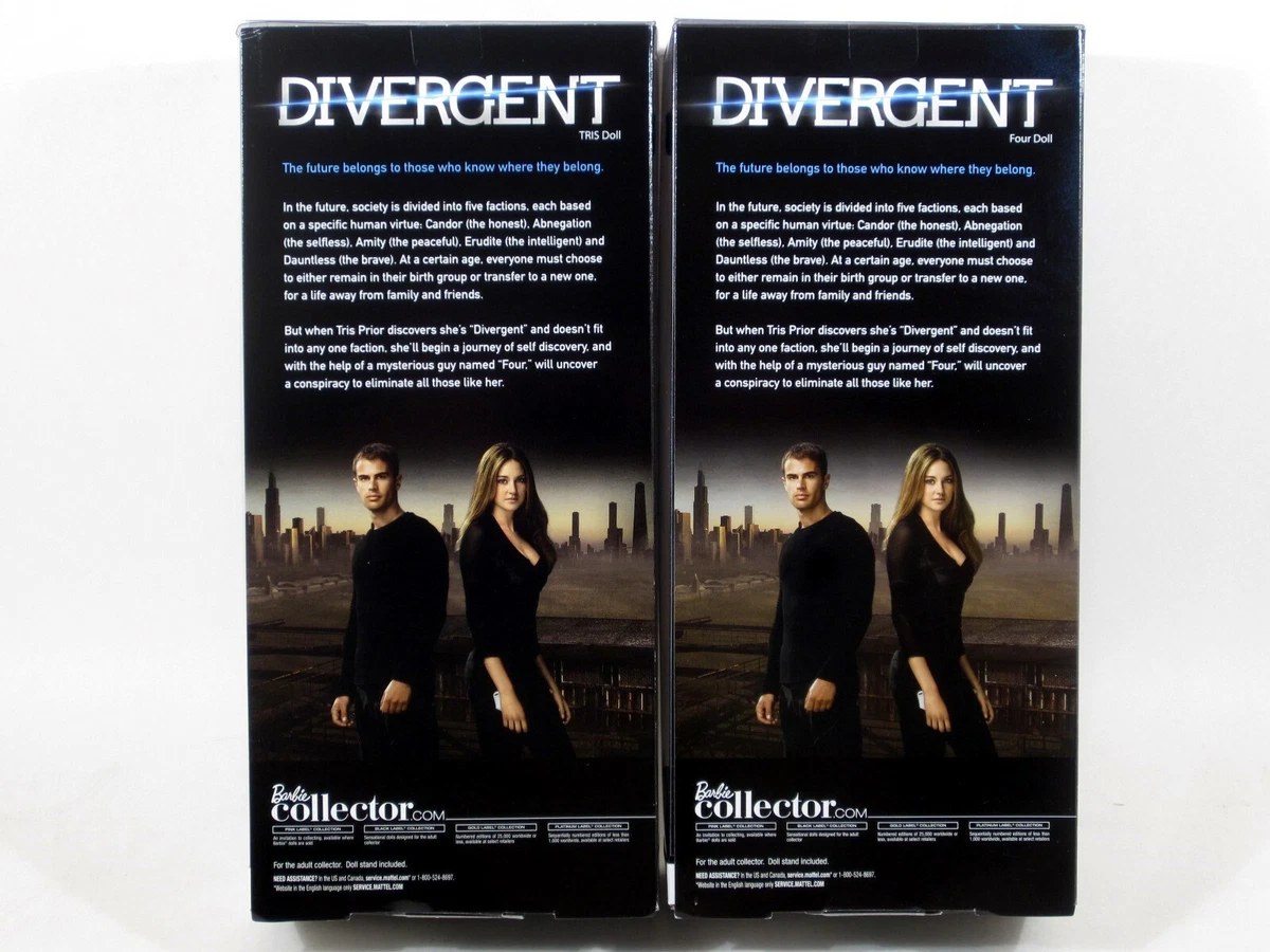 Divergent Prior Family