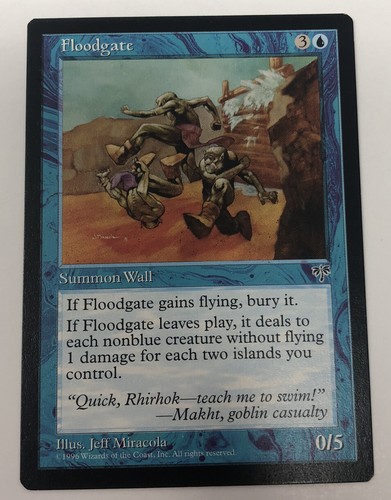 1996 Magic: The Gathering - Floodgate | eBay