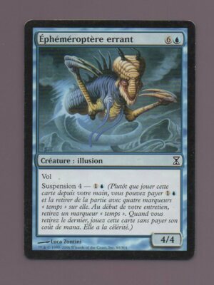 Magic n° 60/301 - Ephéméroptère errant (B428) | eBay