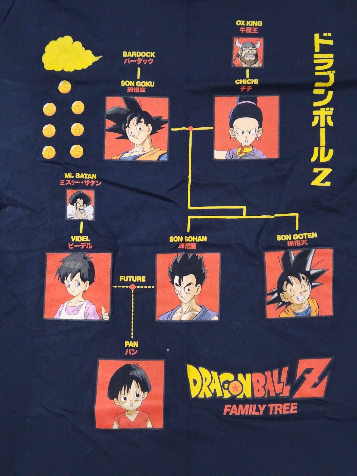 Dragon Ball Z Gokus Family Tree