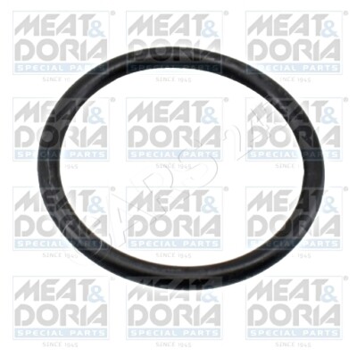 Thermostat Gasket 1338004 | eBay