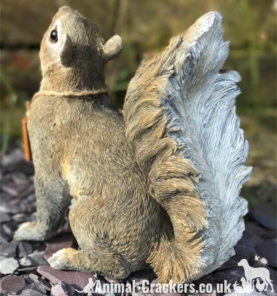 Bird Feeders Empty Squirrel lover gift garden ornament sculpture ...