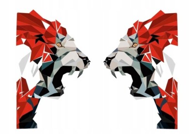 MAN TGX, TGA extra STICKERS FOR MAN TRUCKS - SET OF STICKERS MAN | eBay UK