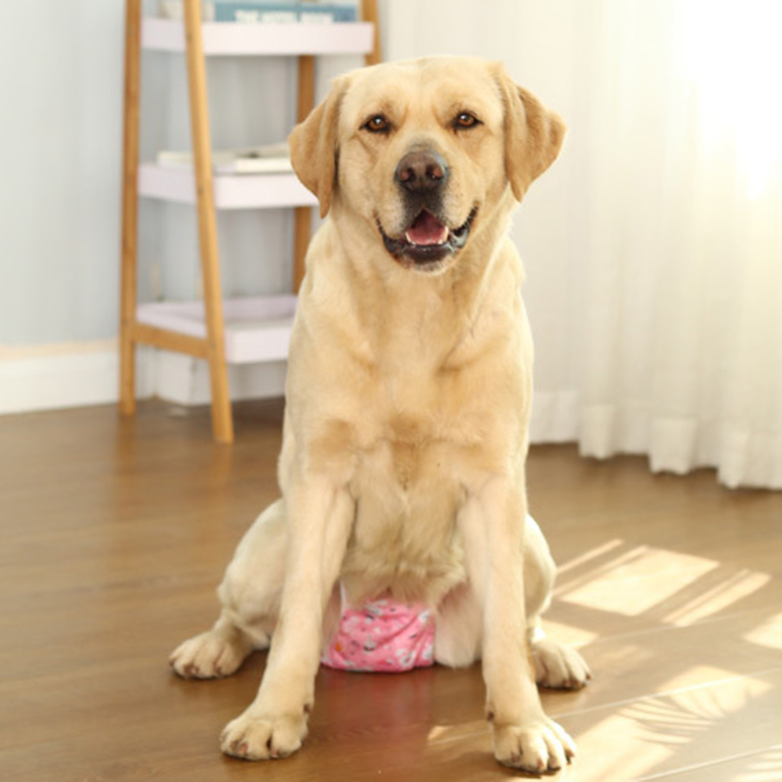 Dog Menstrual Pants Soft Prevent Infection Cartoon Rabbit Print Pet Dog ...