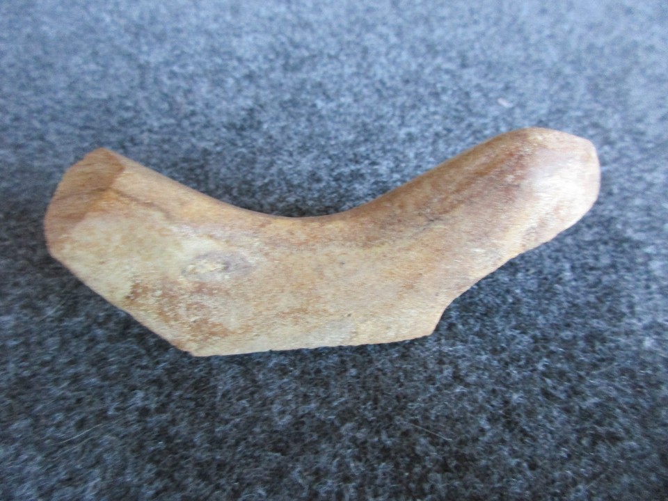 QUARTZ NATIVE AMERICAN BIRDSTONE, INDIAN BIRDSTONE WITH COA, #DAY-02253 ...