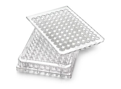 Millipore MultiScreen-MESH Filter Plate, 100 µm, clear, non-sterile | eBay