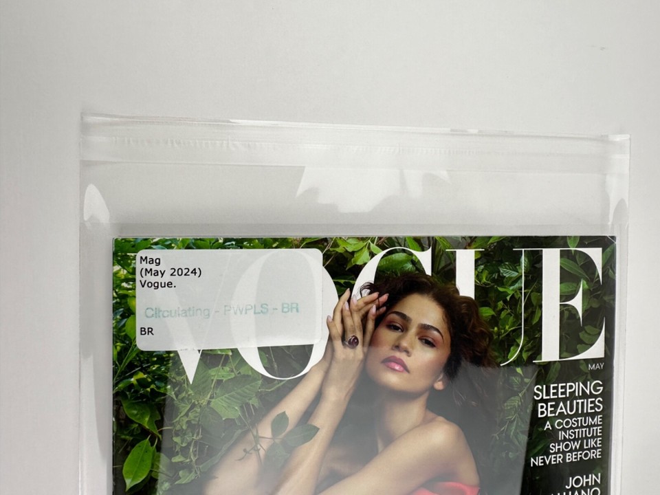 100 Sleeves Magazine Plastic Resealable Storage Bags 8 3/4" x 11 1/8 ...