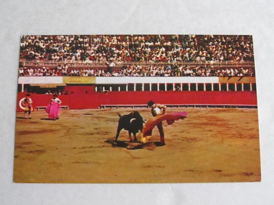 G482 Postcard Tijuana Mexico Bull Fighting Matadore bull | eBay