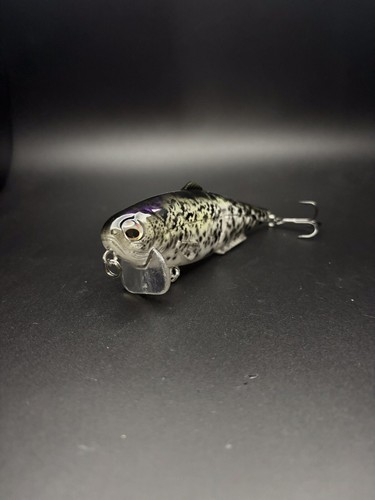 Custom Painted Top Water Speed Wake Shad Jointed | eBay