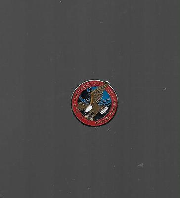 SHUTTLE ENDEAVOUR STS-54 LAPEL PIN | eBay Australia