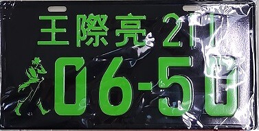 Multi Colors JDM License Plate Nautica Tablilla Corta Sola PR | eBay