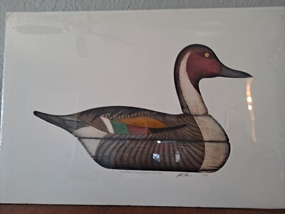 Pintail Drake Decoy Arthur Nevin Signed & Numbered Etching 15x22. 1943 ...