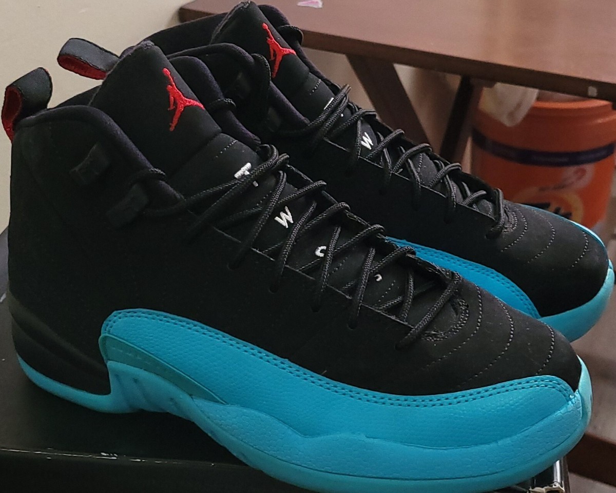 Powder Blue 12 Jordans