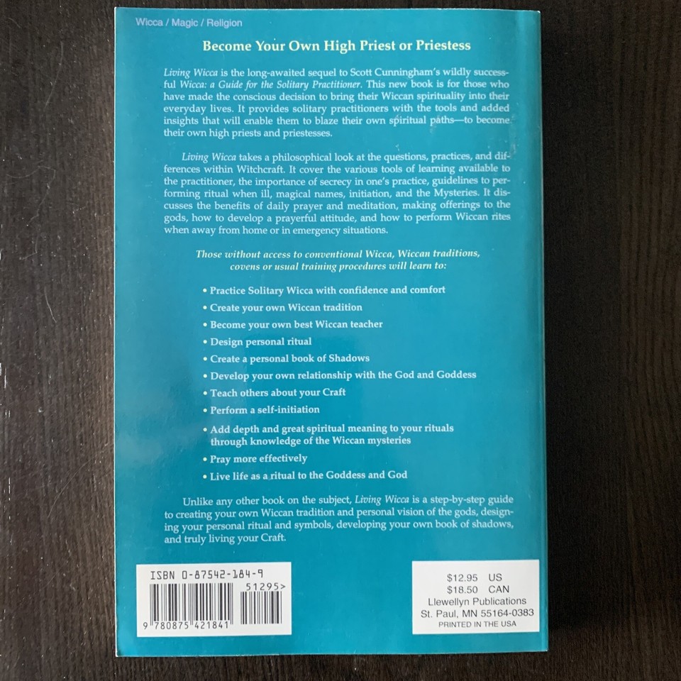 Barbarian Rites: The Spiritual World of the Vikings and the Germanic ...