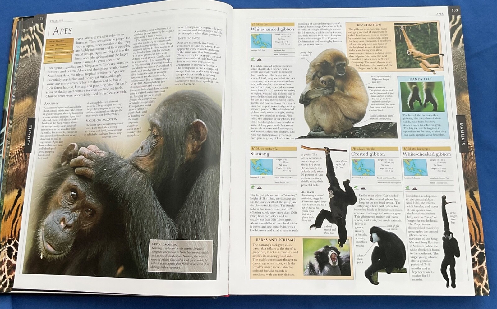 2001 DK ANIMAL THE DEFINITIVE VISUAL GUIDE TO THE WORLD'S WILDLIFE ...