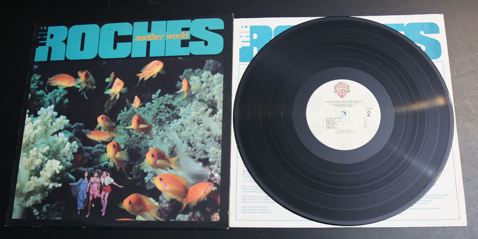 The Roches Another World LP (1985) 1-25321 1st PRESS STERLING on Dead ...