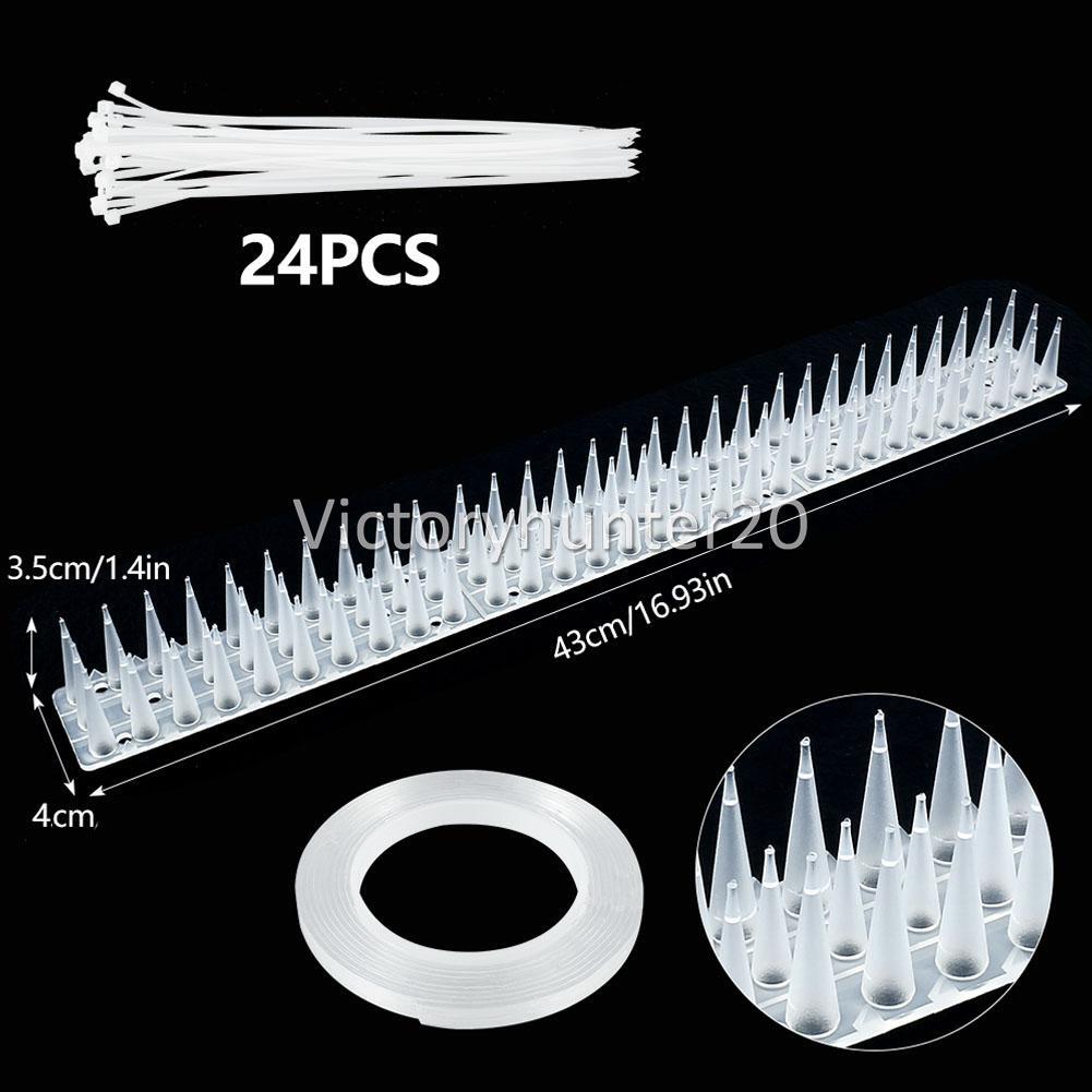 12X Bird Spikes Human Cat Possum Wall Deterrent Mouse Pest Control ...