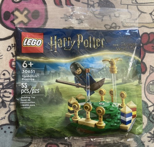 LEGO 30651 Harry Potter: Quidditch Practice (NEW Sealed Polybag) LEGO ...