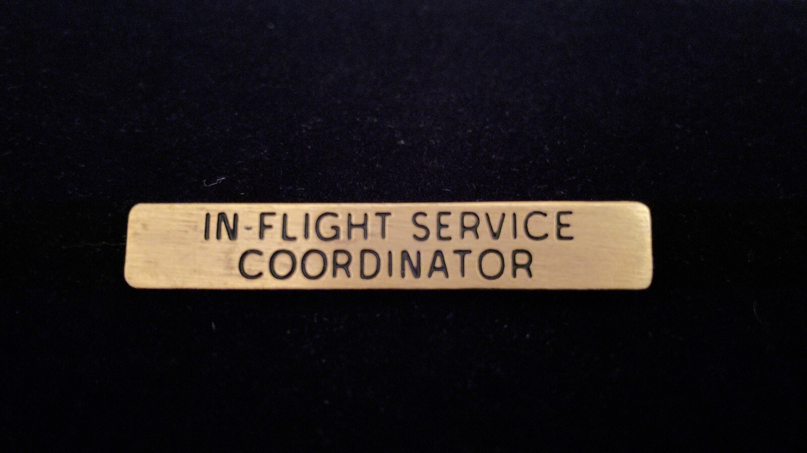 Vintage Delta Air Lines “In-Flight Service Coordinator” Pin Badge Bar ...