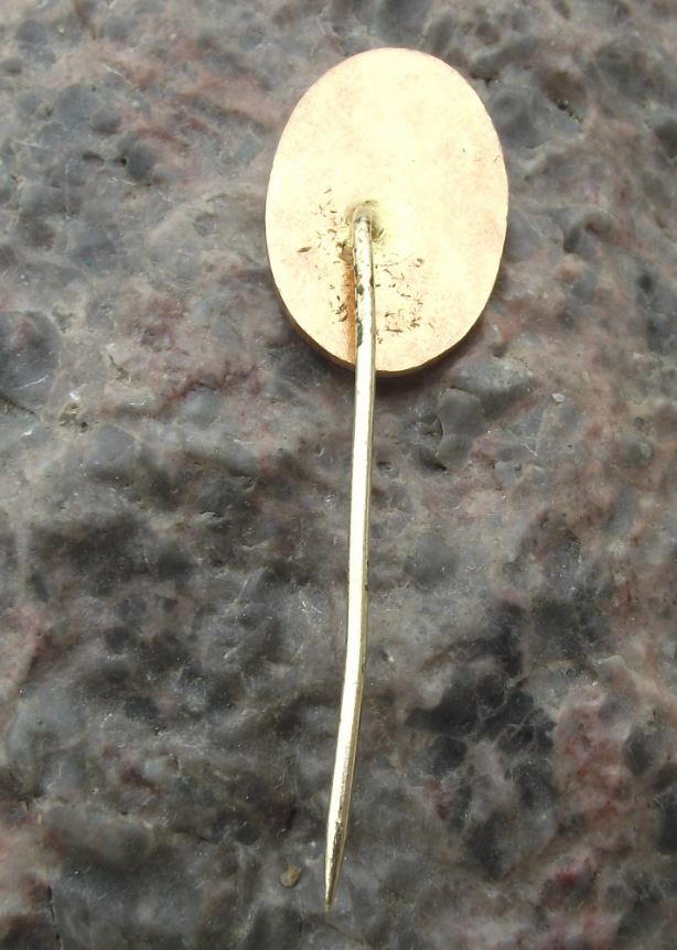 Vintage Stoke City SCFC Football Club Supporter Soccer Crest Logo Pin ...