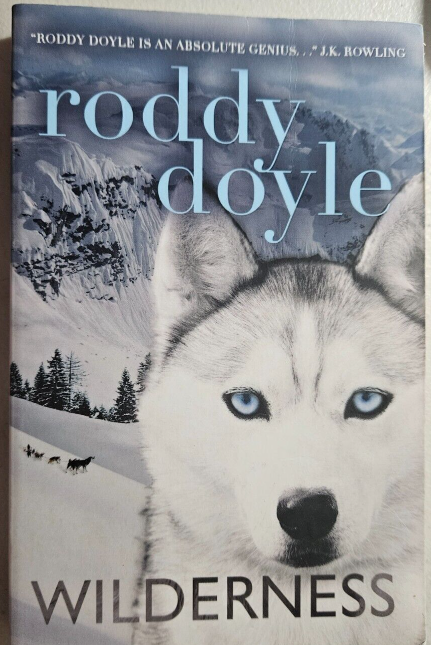 Wilderness ~ NOVEL ~ By Roddy Doyle ~ VERY GOOD ~SCHOLASTIC ~ PAPERBACK ...