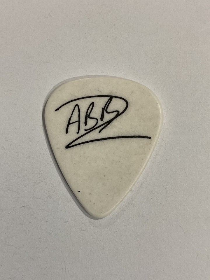 Andy Abberley Diamond Head Signature Guitar Pick (B) | eBay