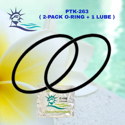 GMX600F Valve To Filter Lid O-ring Pro Series-S144T. (2-PACK) For ...