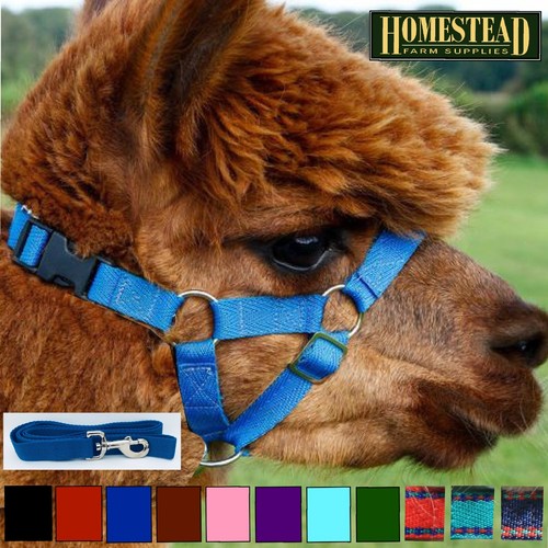 Llama Alpaca Headcollar Snap Fastening Halter With LEAD - 10 Colours ...