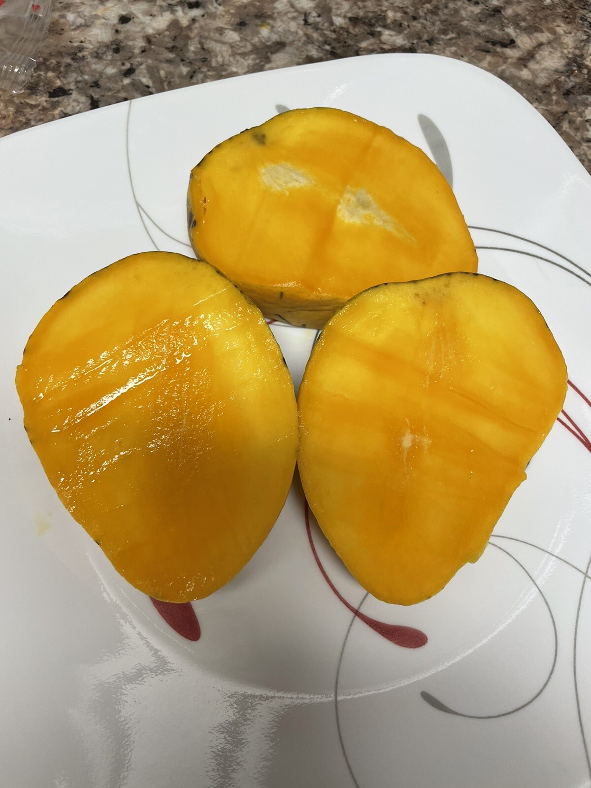 NEW VARIETY MANGO TREE ZILL BUTTER CREAM GRAFTED TREE | eBay