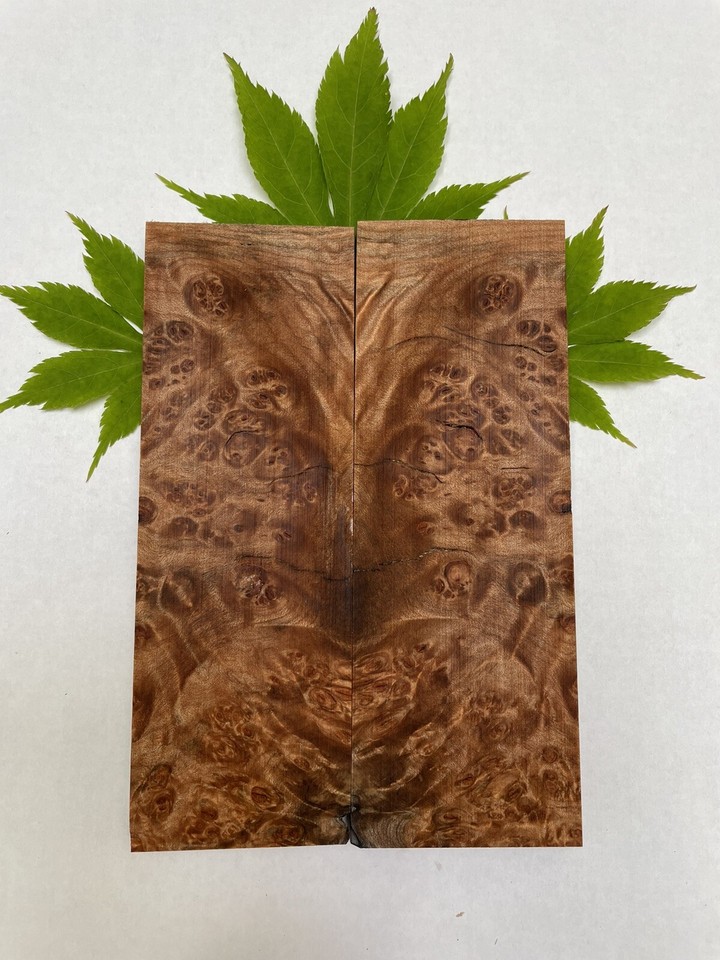 Stabilized Spalted Maple Burl Wood Knife Scales, Handles, Pistol Grips ...