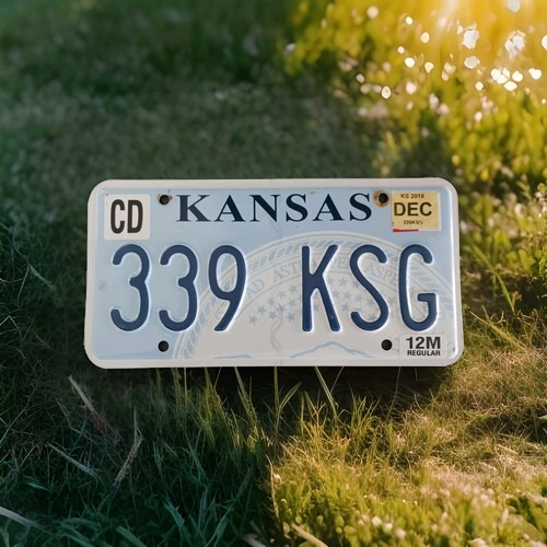 2018 Kansas License Plate 339 KSG | eBay