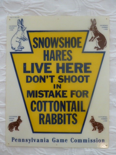 Vintage 1960 NEW Pennsylvania Game Commission Snowshoe Hares Live Here ...
