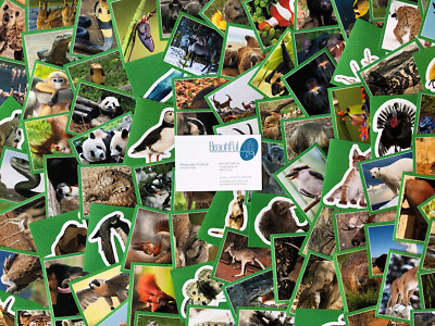 TOPPS National Geographic Kids Wilde Tiere Sticker einzeln Auswahl - 5 ...