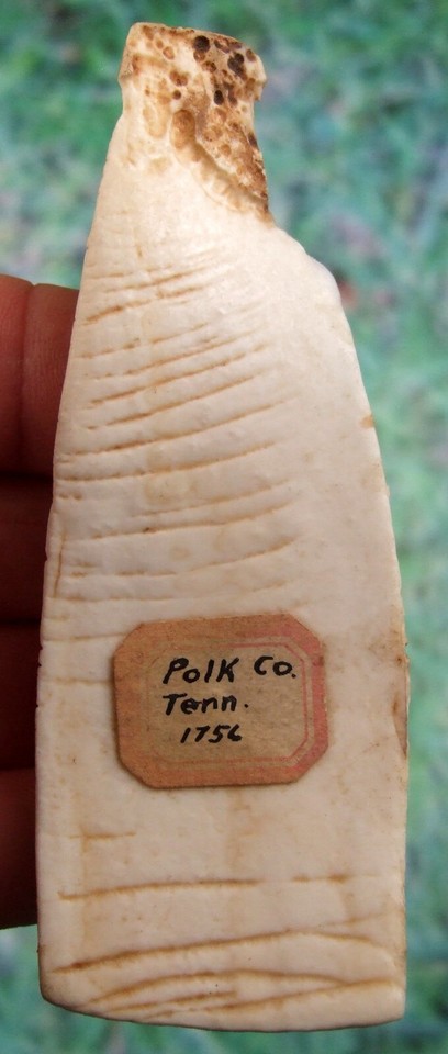 Fine 4 1/2 inch Copena Culture Pendant COA Prehistoric Arrowheads ...