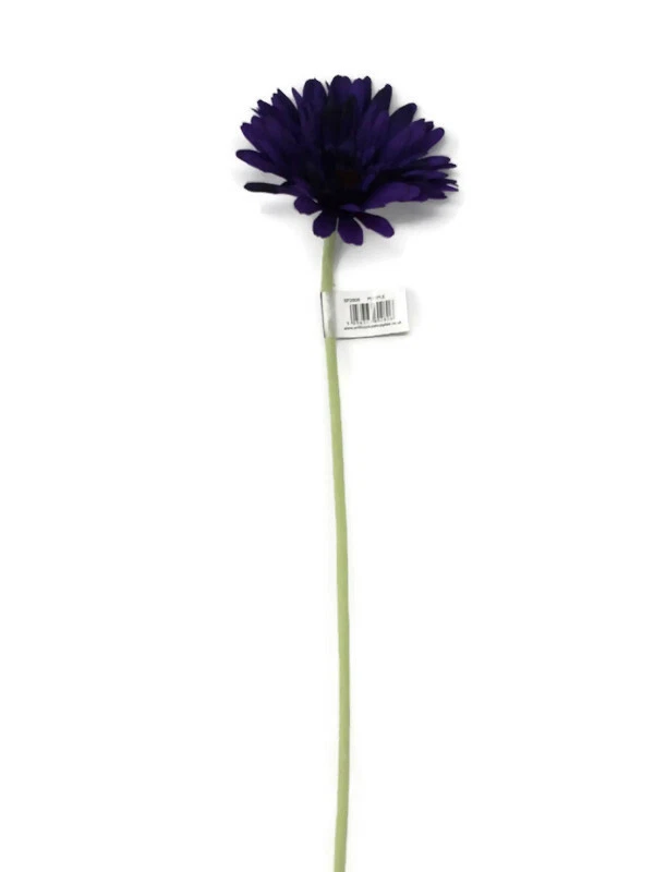 Single Daisy Flower With Stem