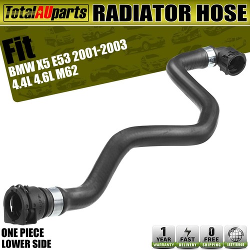 Lower Radiator Coolant Hose for BMW X5 E53 01-03 4.6L M62 B46 SAV ...