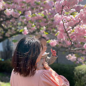 HELLO_SAKURA_CAMERA | eBay Stores