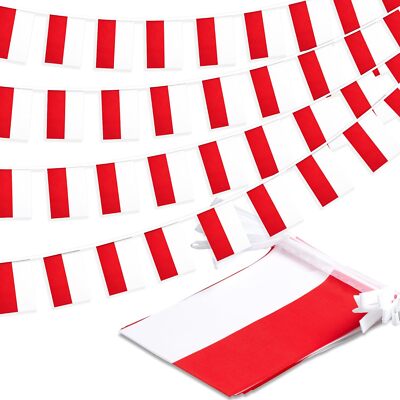 Poland String Flag Pennant Banner, Small Mini Polish Flags Bunting | eBay