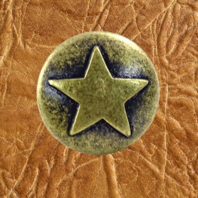 Western Decorative Star Upholstery Tacks TPR1424-AB (lot of 25) | eBay