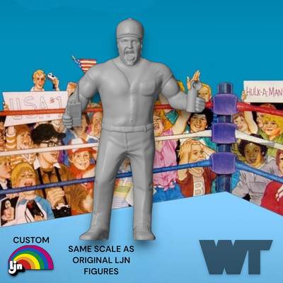 BARRY DARSOW WWF LJN *Full Scale* CUSTOM Unpainted WWE WCW *READ* | eBay