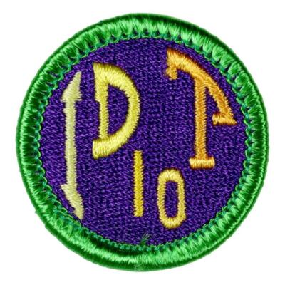 ID Ten T - Adult Merit Badge | eBay