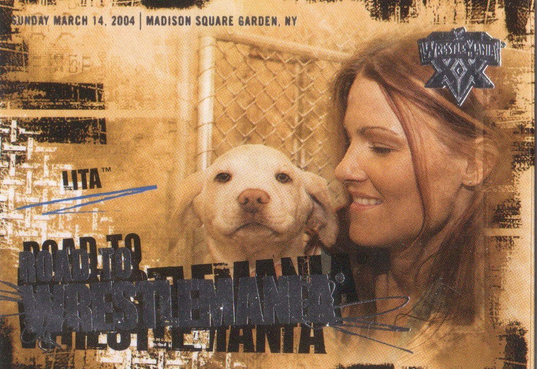 LITA 2004 Fleer WWE ROAD TO WRESTLEMANIA Insert Card #7RW AMY DUMAS | eBay