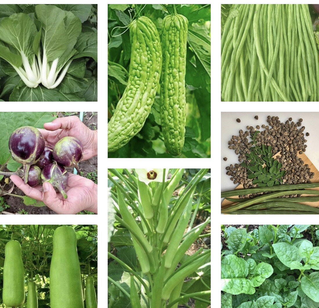 15 Packets Of Asian Vegetable Seeds For Planting | eBay