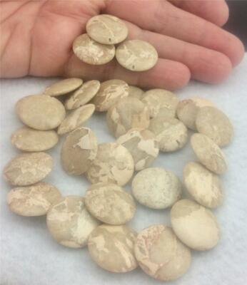 Lot of 20MM Lentil Shape Beige Agate Beads | eBay