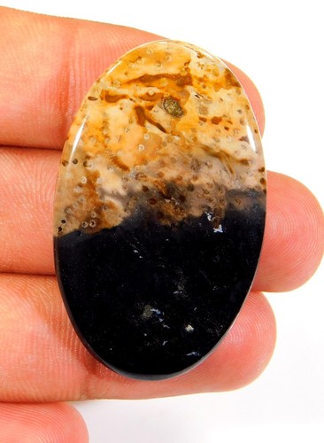67.CT Naturel Pétrifié Plam Racine Agate Ovale Cabochon Desseré Gemme ...
